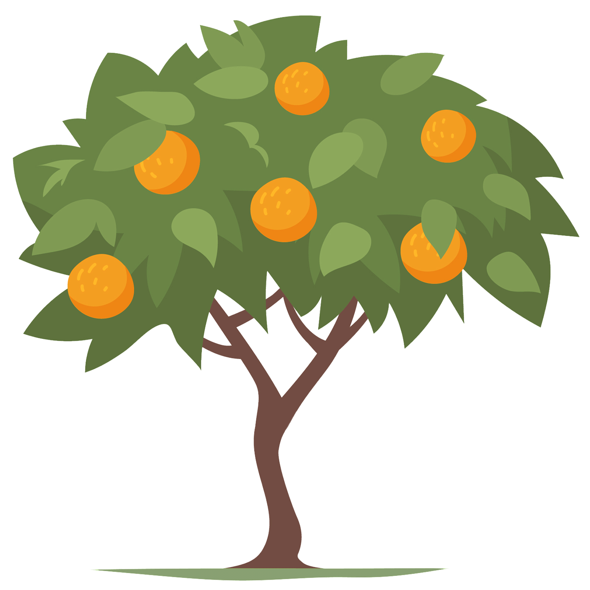 After-School Chinese Immersion Classes in Seattle | Little Orange Tree ...